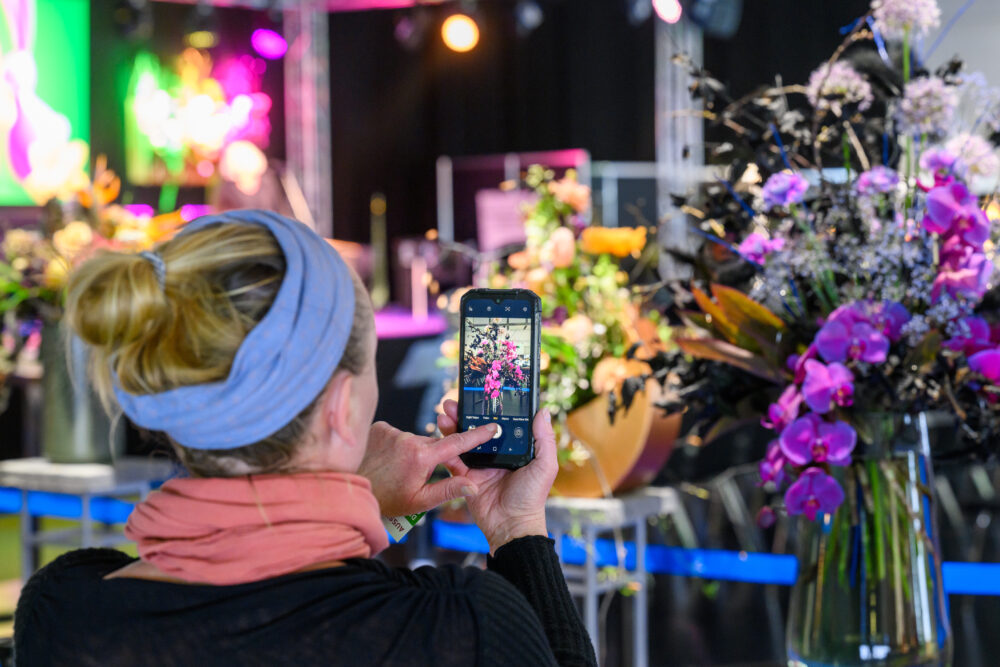 DRESDNER OSTERN 2025: Frühlingserwachen in der MESSE DRESDEN - DAWO! - Dresden am Wochenende